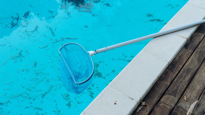 Keeping Your Pool Algae-Free: Prevention and Removal Strategies